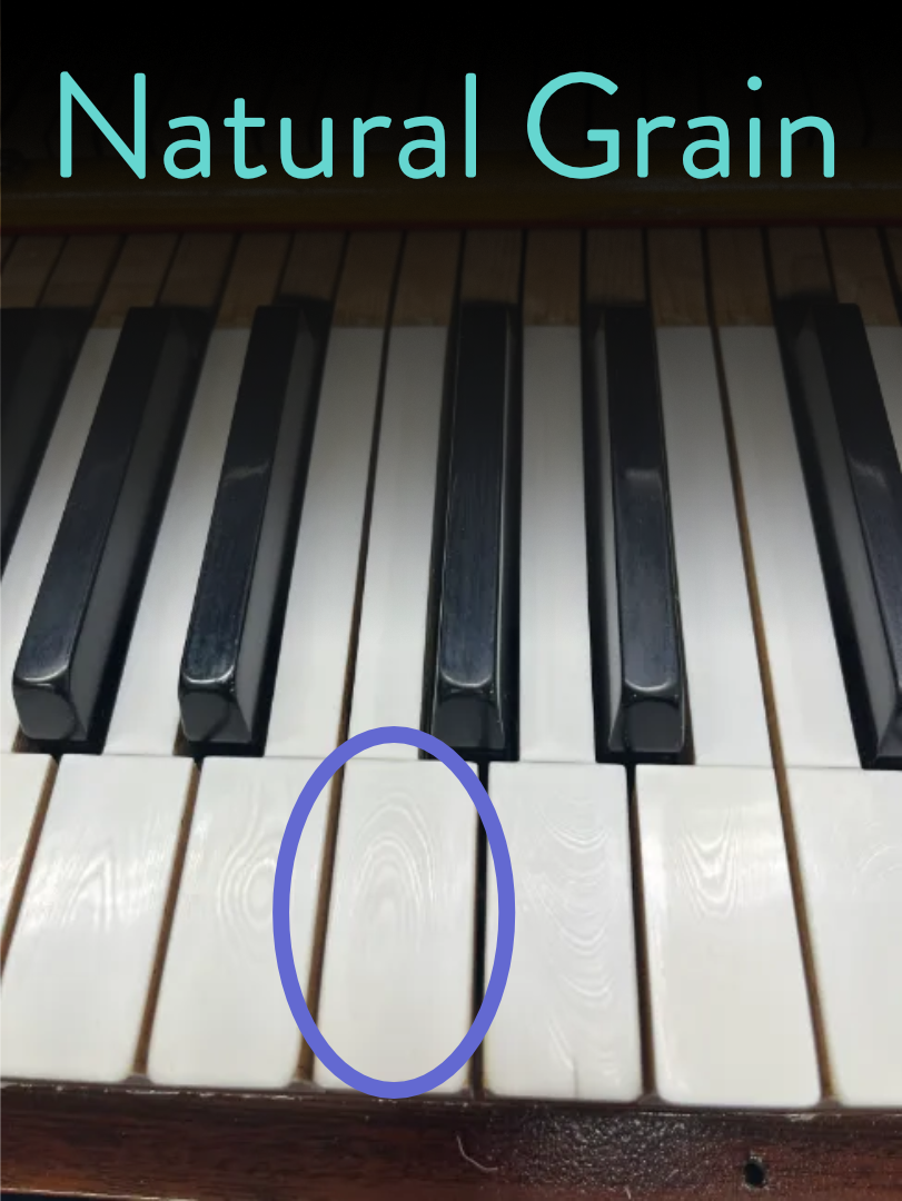 How to Know if Your Piano Keys Are Ivory - Savvy Pianist